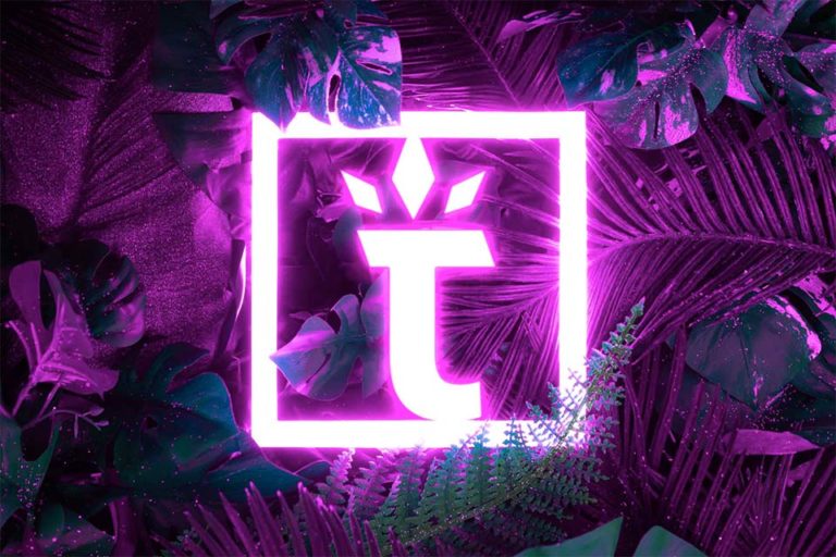 Torch Disposable Vapes, Carts, Pens, & More | Delta 8 Resellers