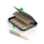 Tyson 2.0 Delta-8 Shorties Mini Pre-Rolls | 10 Count | Delta 8 Resellers