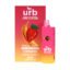 URB Toke Station Disposable | 6g - Delta 8 Resellers