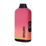 Cartisan Veil Bar Neo "510 Battery" | Delta 8 Resellers