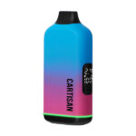 Cartisan Veil Bar Neo "510 Battery" | Delta 8 Resellers