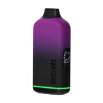 Cartisan Veil Bar Neo "510 Battery" | Delta 8 Resellers