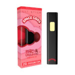 Space Gods Lit Stick Disposable | 2g | Delta 8 Resellers